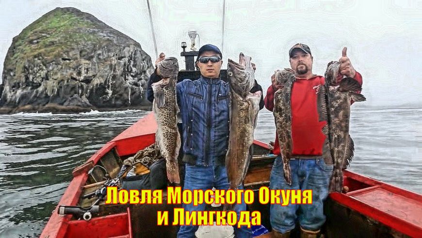 Пасифик Сити Ловля Морского Окуня и Лингкода