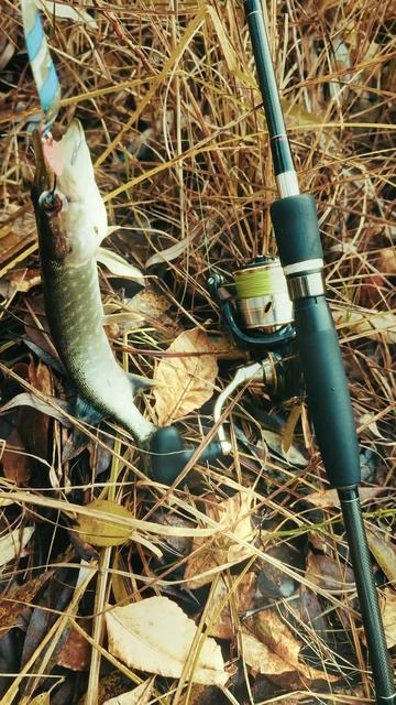 Ноябрь. Спиннинг. Apple ProRes LOG | 4K | iPhone 16 Pro