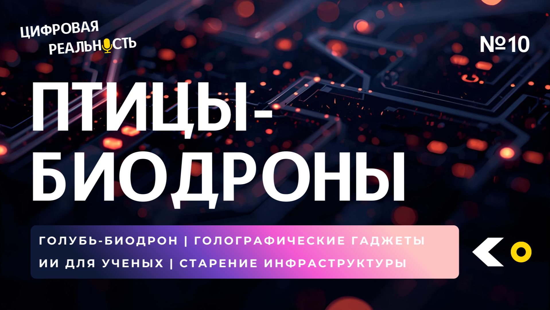 Птицы-биодроны ||  Подкаст «Цифровая реальность»