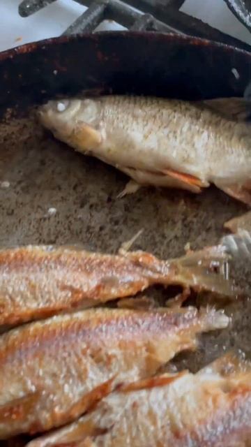 Жареная плотва