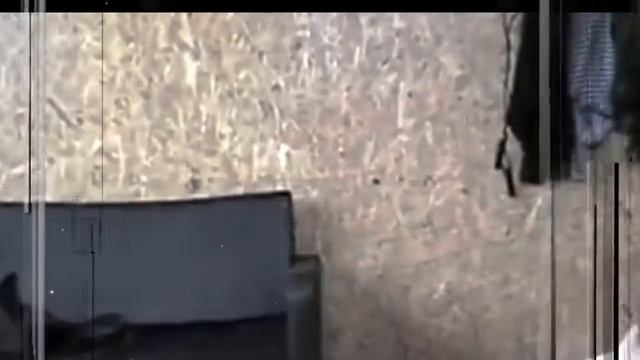 Похудеть легко!