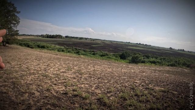 Разведка места для ночёвки в бору.