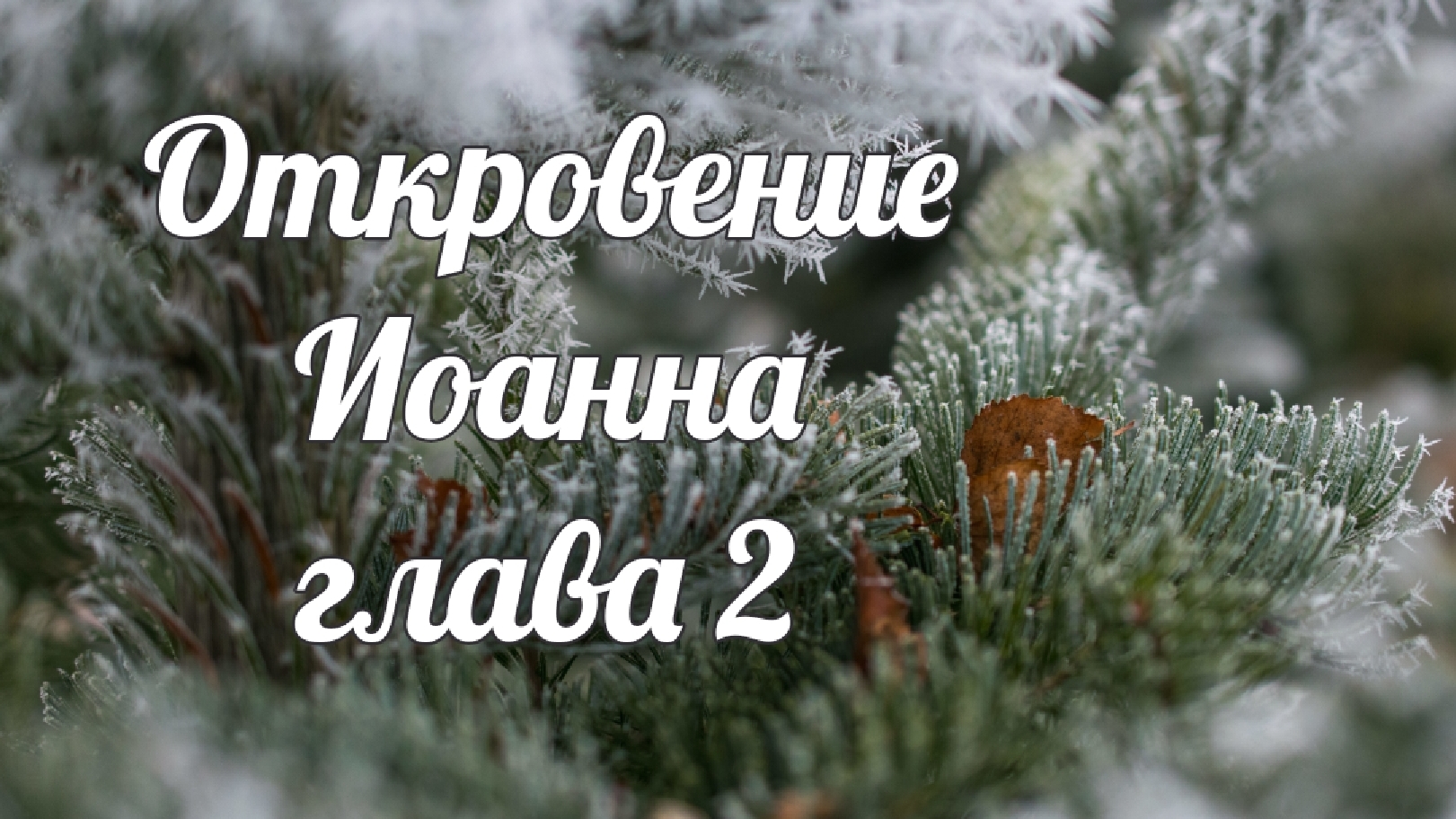 Откровение Иоанна глава 2