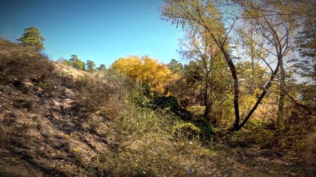 Тёплый осенний день.Впечатления от ножа Spyderco Smock.