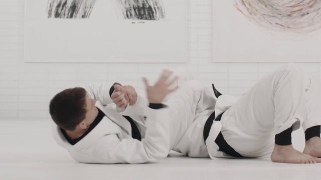 Rafael Mendes - Armbar Masterclass (AOJ)1