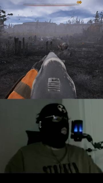 Главное найти нужного Пса!