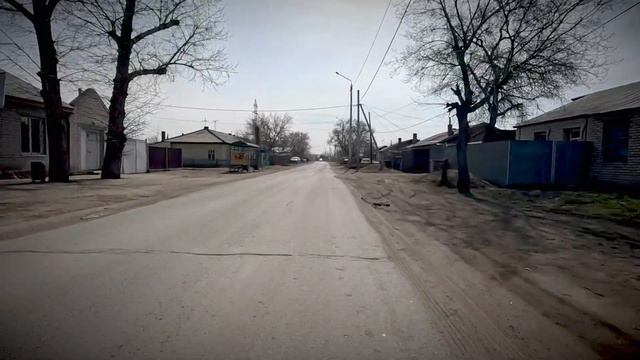 Ранняя весна 2024..,из свежего бора в пыльный город...