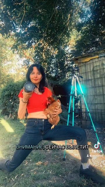 Сейчас вылетит птичка! Точнее- курица! 🙈🤣🎥