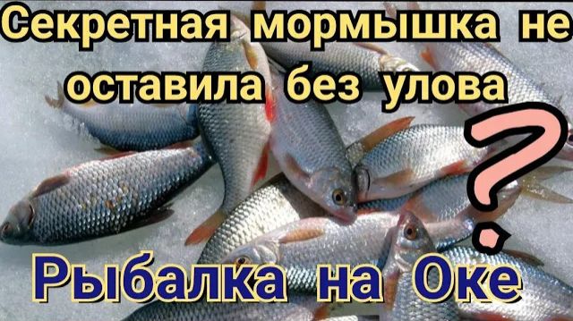 Рыбалка на безмотылку, мормышка от которой плотва чумеет