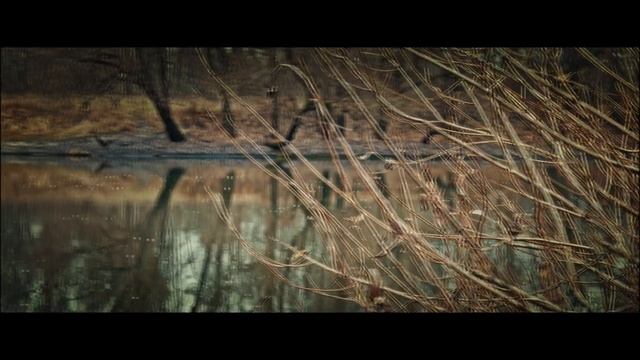 Перед зимой | Cinematic | iPhone 16 Pro | Pro Res Log
