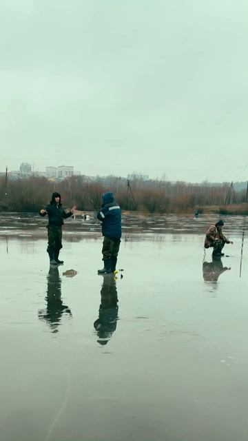 Бели нет - судак есть! Балансиры рулят!