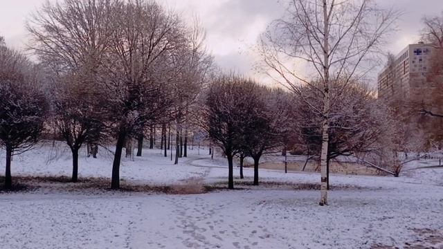 я бы хотел ( стихи автора)