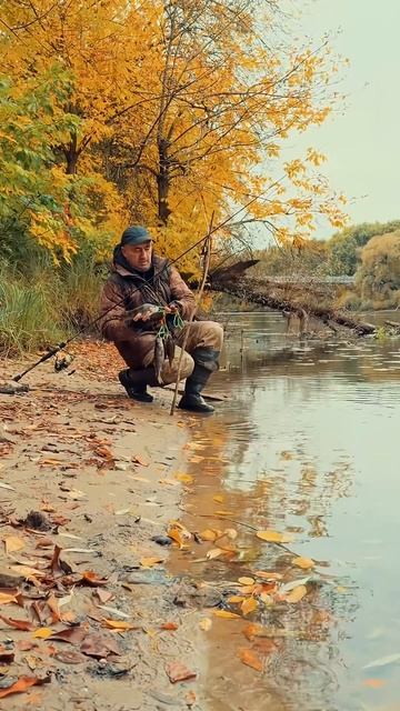 Отводной поводок для целевой рыбы. Окунь осенью