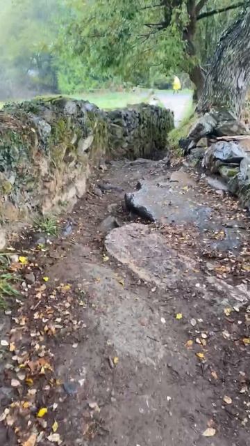 Путь Святого Иакова. День второй