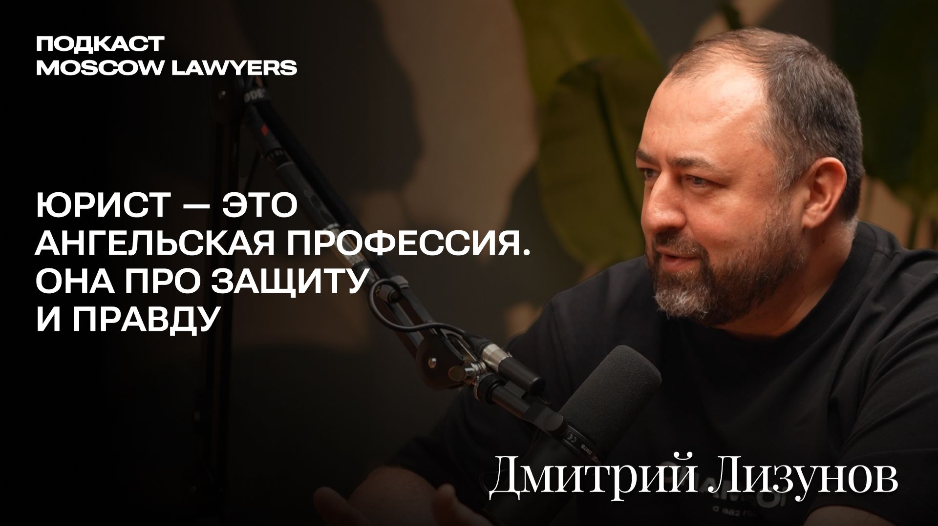 Разговор о святых юристах, Петроградском процессе и жизненном выборе с Дмитрием Лизуновым LLC-Право