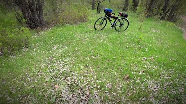АСМРное веловидео с шорохами и хрустами (и с зайцем)