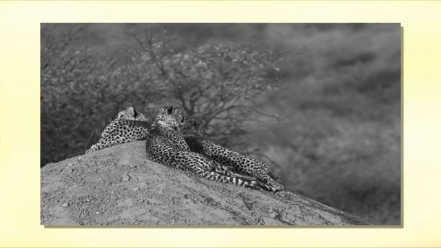 CJ Mind - Digital Sky in the Windows of a Skyscrapers