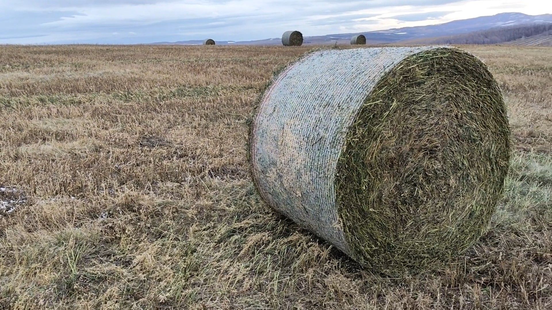 Пресс-подборщик Pascal: пермское качество, сибирский характер