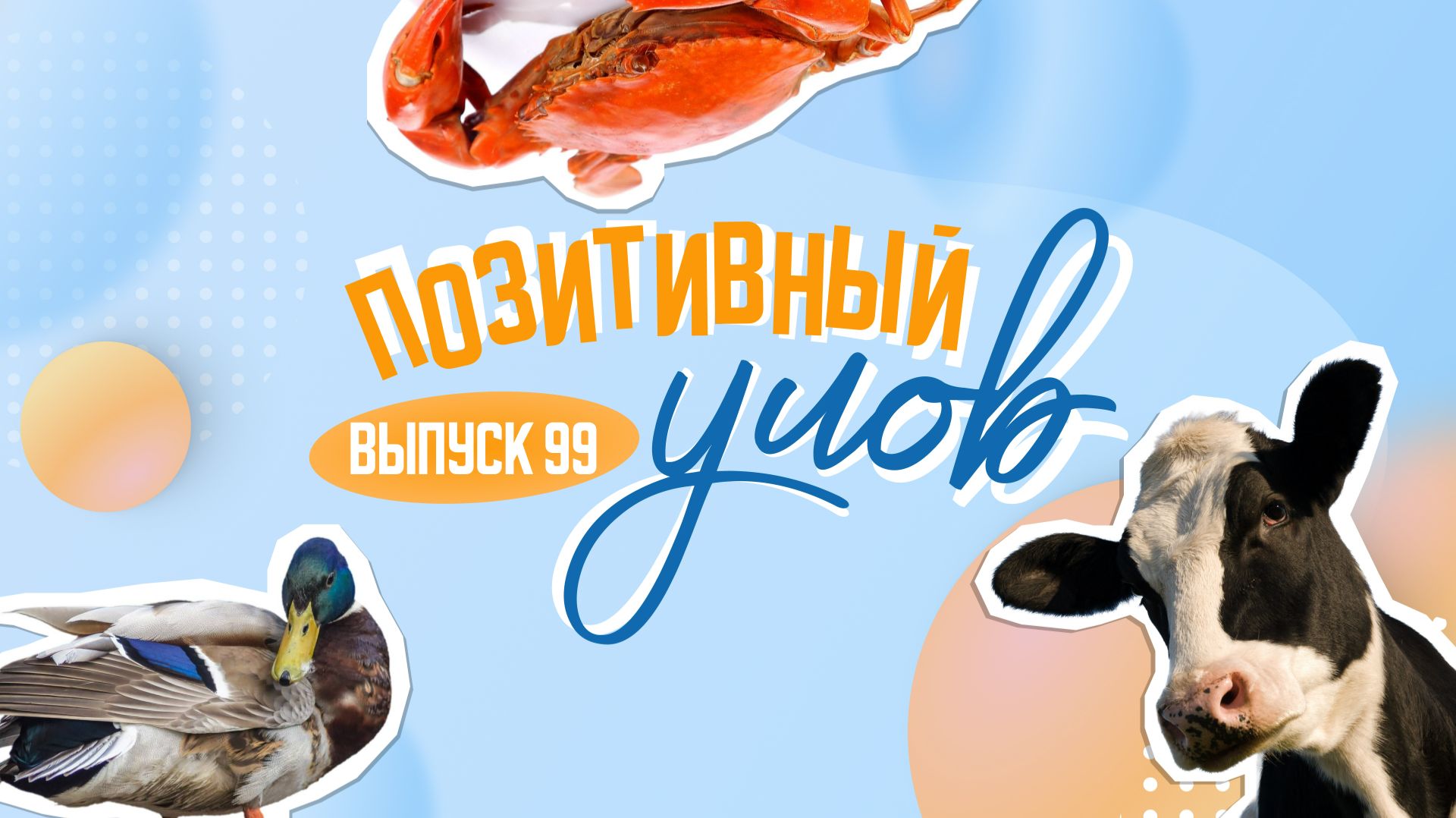 Кадиллак из розового конструктора и трагический сюжет в новом сезоне "Смешариков". "Позитивный улов"