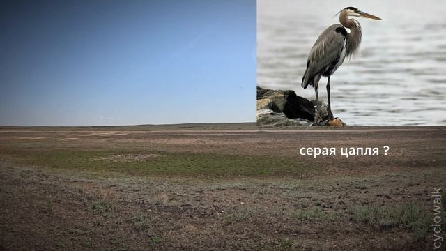 К центру земли на велосипеде.2 часть.(Строго 18+)