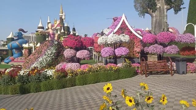 Страна ОАЭ город Фуджейра в ноябре 2025 года, часть 2.