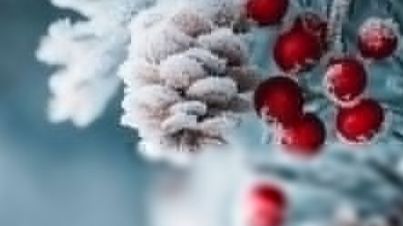 Доброе Утро! Пусть День Будет Успешным!