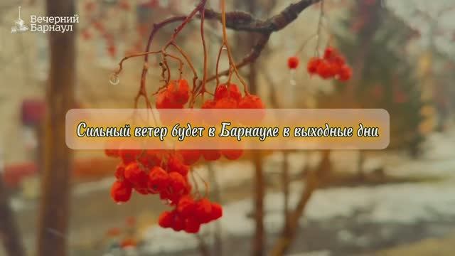 Сильный ветер будет в Барнауле в выходные дни