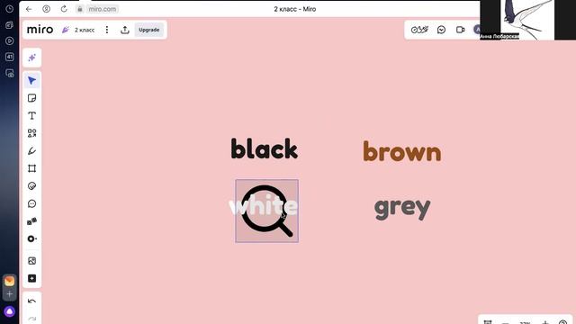 white brown black grey
