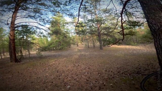 Shroombiking."New" concept of short distance bike tourism.