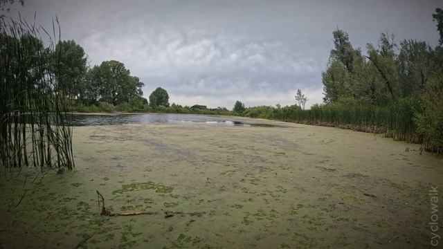 Побродил по массиву -запечатлел всякое.(18+ строго)