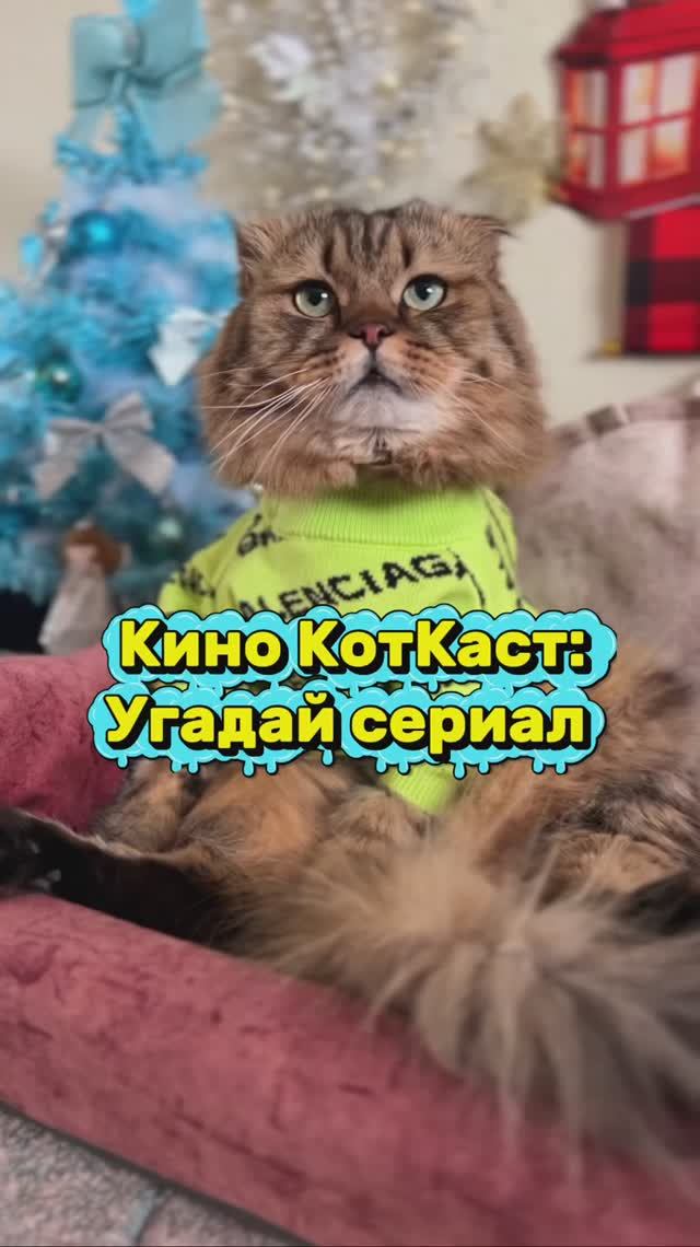 Угадали сериал?😸 #КиноКотКаст #угадай #сериал #котики