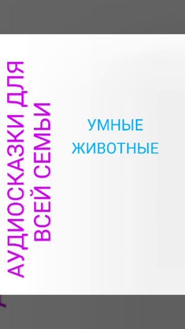 УМНЫЕ ЖИВОТНЫЕ