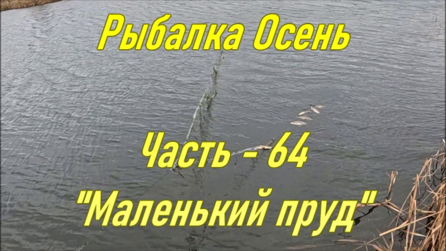 Рыбалка Осень. Часть - 64. "Маленький пруд".