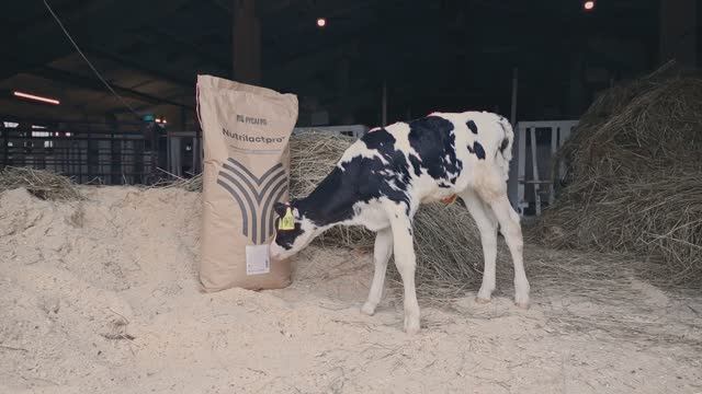 Русагро-Агромилк_1