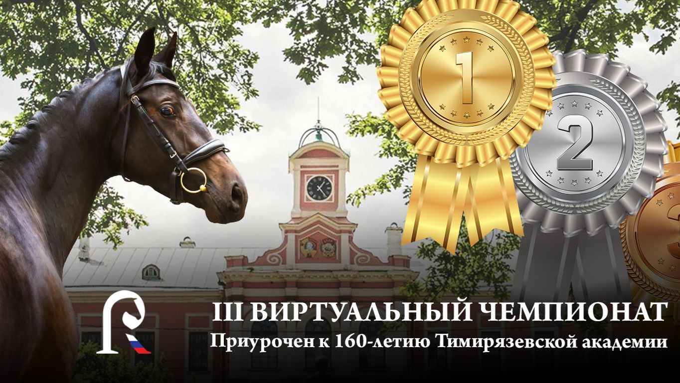 Коб. САММЭР КВИН РП (Сир Доннервелл ольд. – Квик Мун вестф.), полукр., рожд. в 2023 г.