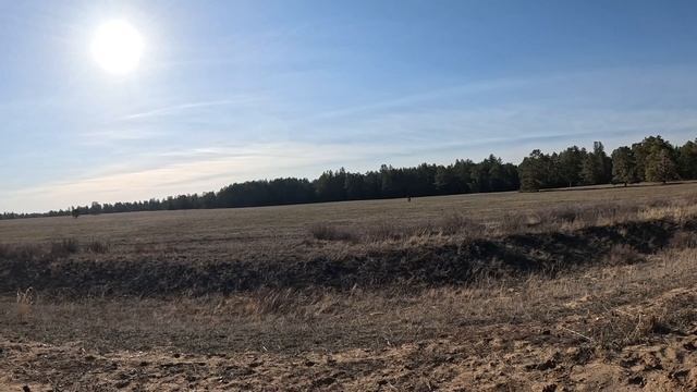 Топчусь по лесным грунтам!(18+ с цензурой)эпизод 2