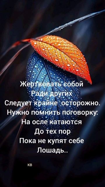 #мысли #цитаты #katyboro #афоризмы  #топ #рек #shortvideo #short   #viralshort #умныемысли  #2025