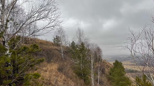 Тёплый старт декабря