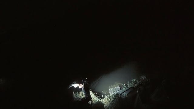 Ночной фидер для леща на Плитах