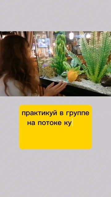 как работает энерготерапия