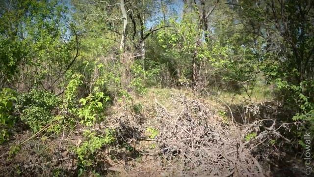 Чудесный майский день.Скакнул за город.(+18)