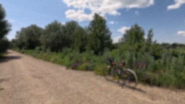 Партизаню тропами заброшенного массива ''Орлёнок''