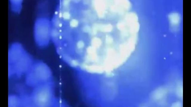 НОВОГОДНЯЯ ДИСКОТЕКА №  17 ЭТО  БАНЯ