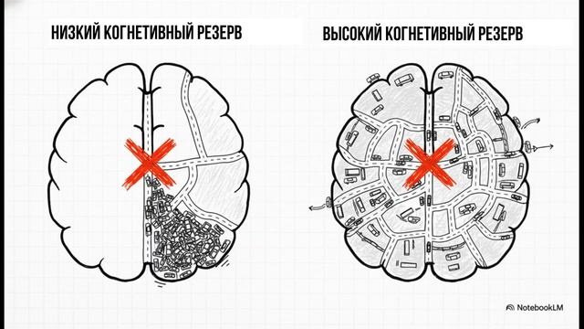 #наукапамяти Мозг стареет не из-за возраста. Вот что убивает вашу память: смотрите до конца.
