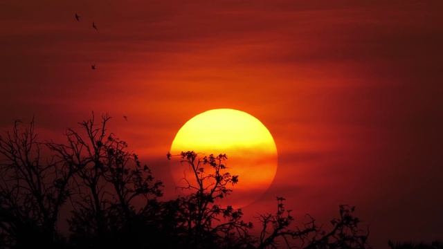В свободном стиле. Пока плетутся косы. Хелен Малусу Буерс