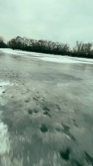 По последнему льду домой. Тревожно, но быстро