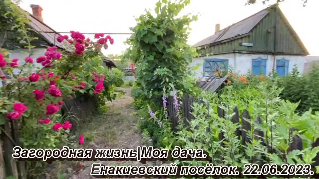 2023. "Перебираю вишню, варю компот, жарю пирожки | Красота природы на посёлке". 22.06.2023.