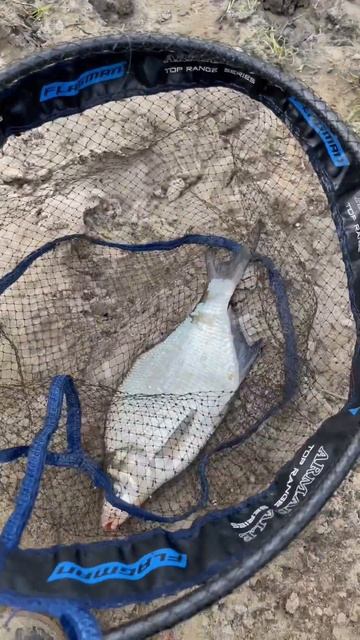 Первый лещик сезона на фидер. Обновил подсачек⎮VLOg 067