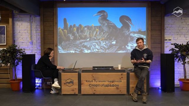 Галапагосские острова: как сэкономить на поездке и встретить игуан, черепах и морских котиков