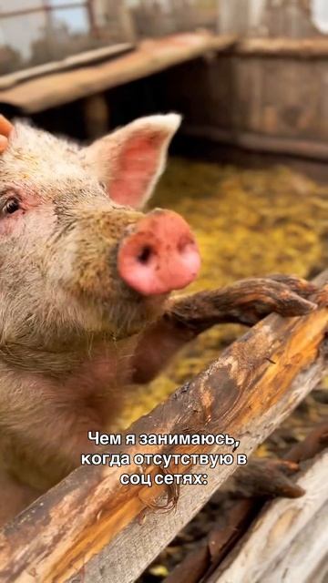 А вы чем занимаетесь?🤭